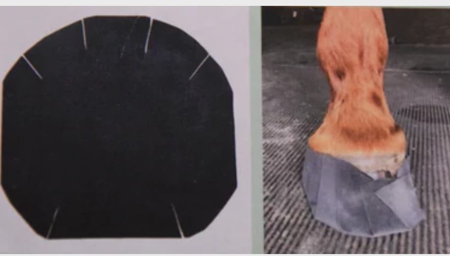 HOOF POULTICE PAD 3 pack ** SALE HALF PRICE – Stella Equine